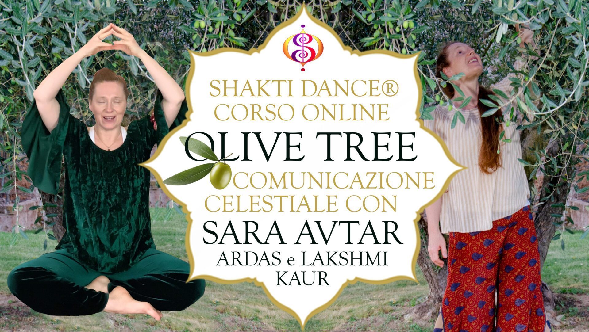 Olive Tree CC ~ 40 giorni di practica - Shakti Dance Endowment LTD dba ...